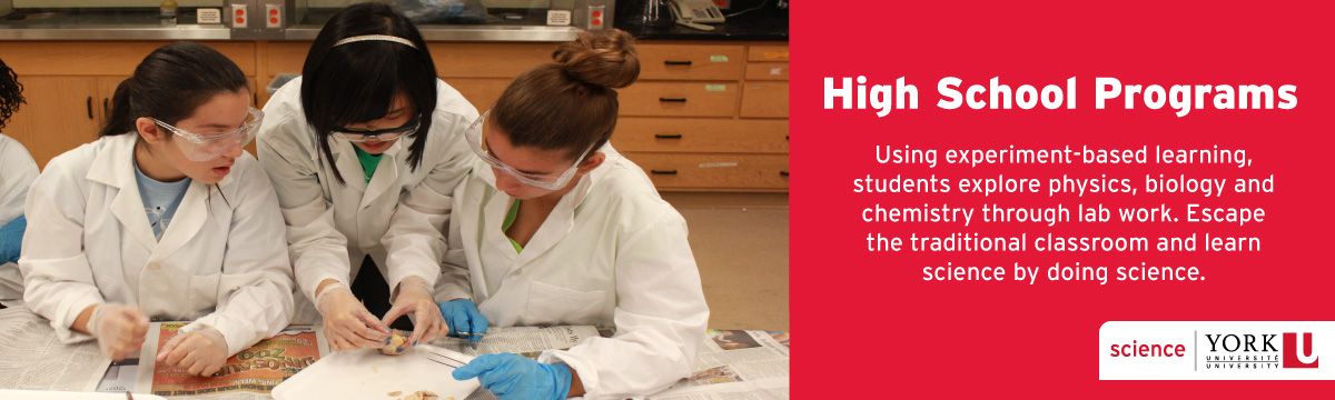 Science Engagement Programs - Science Engagement | Faculty of Science